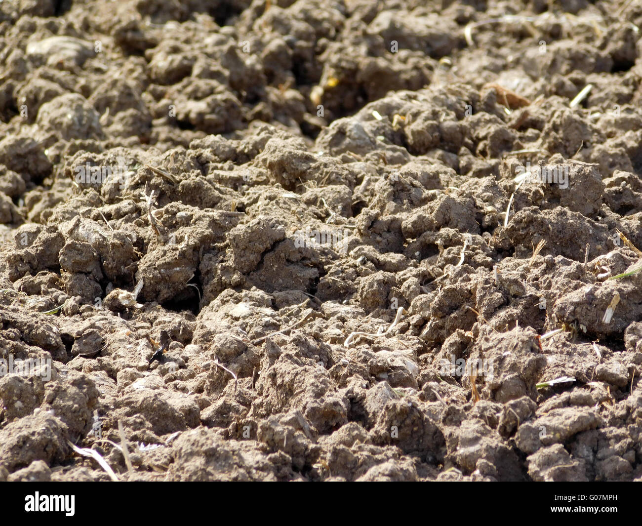 texture of land Stock Photo - Alamy