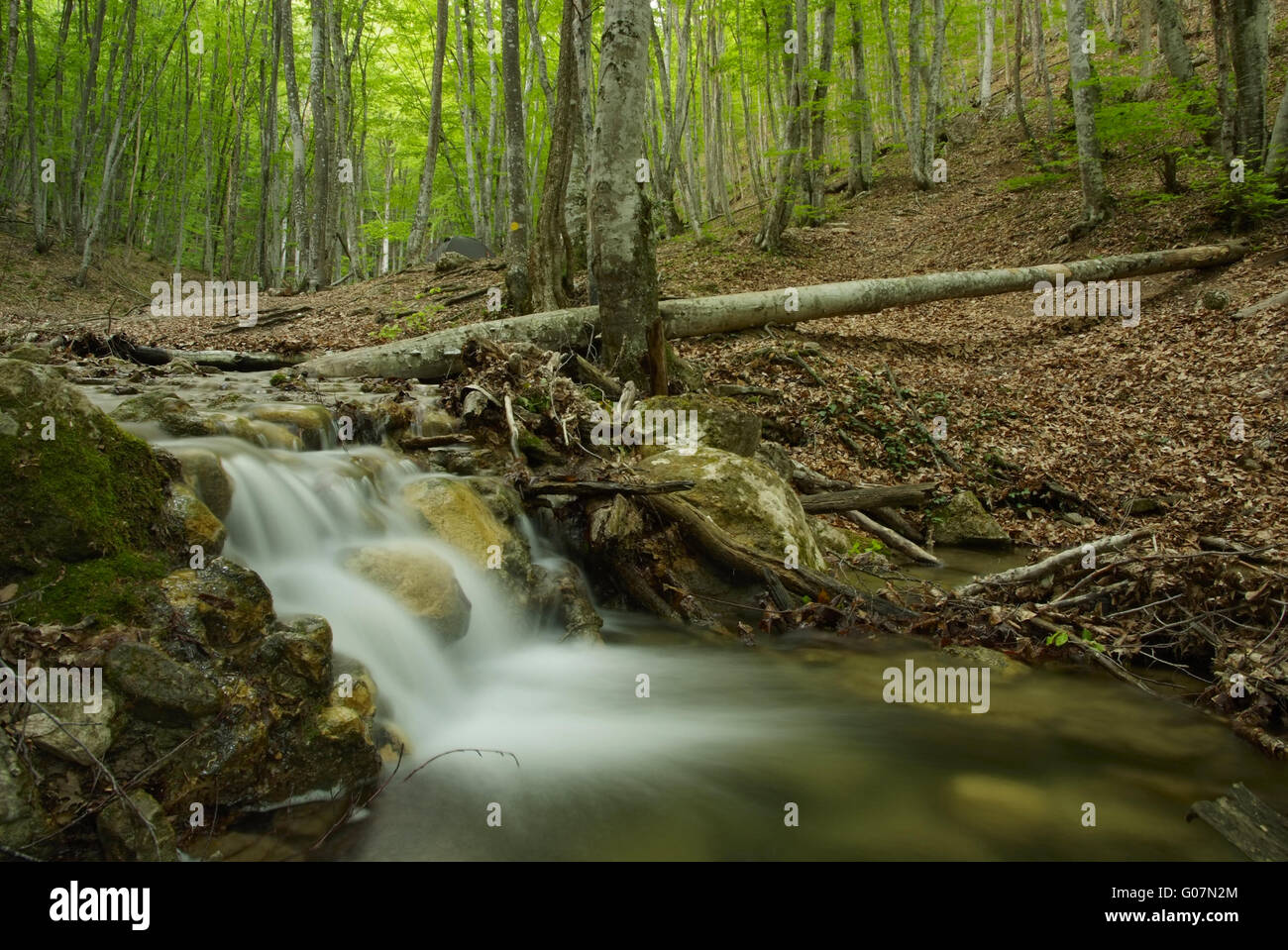 beautiful landscape with a mountain river in Crimea Stock Photo - Alamy