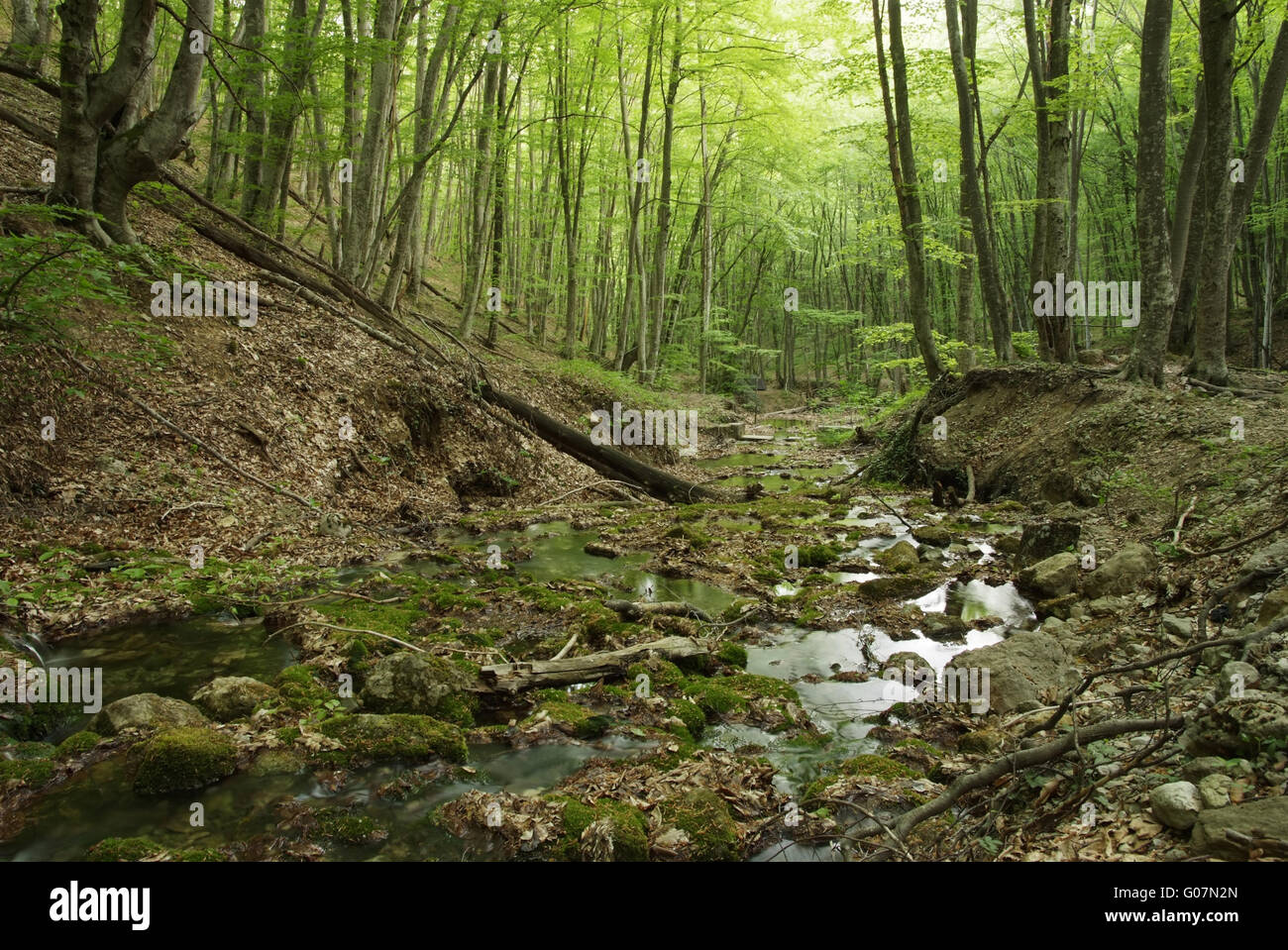 beautiful landscape with a mountain river in Crimea Stock Photo - Alamy