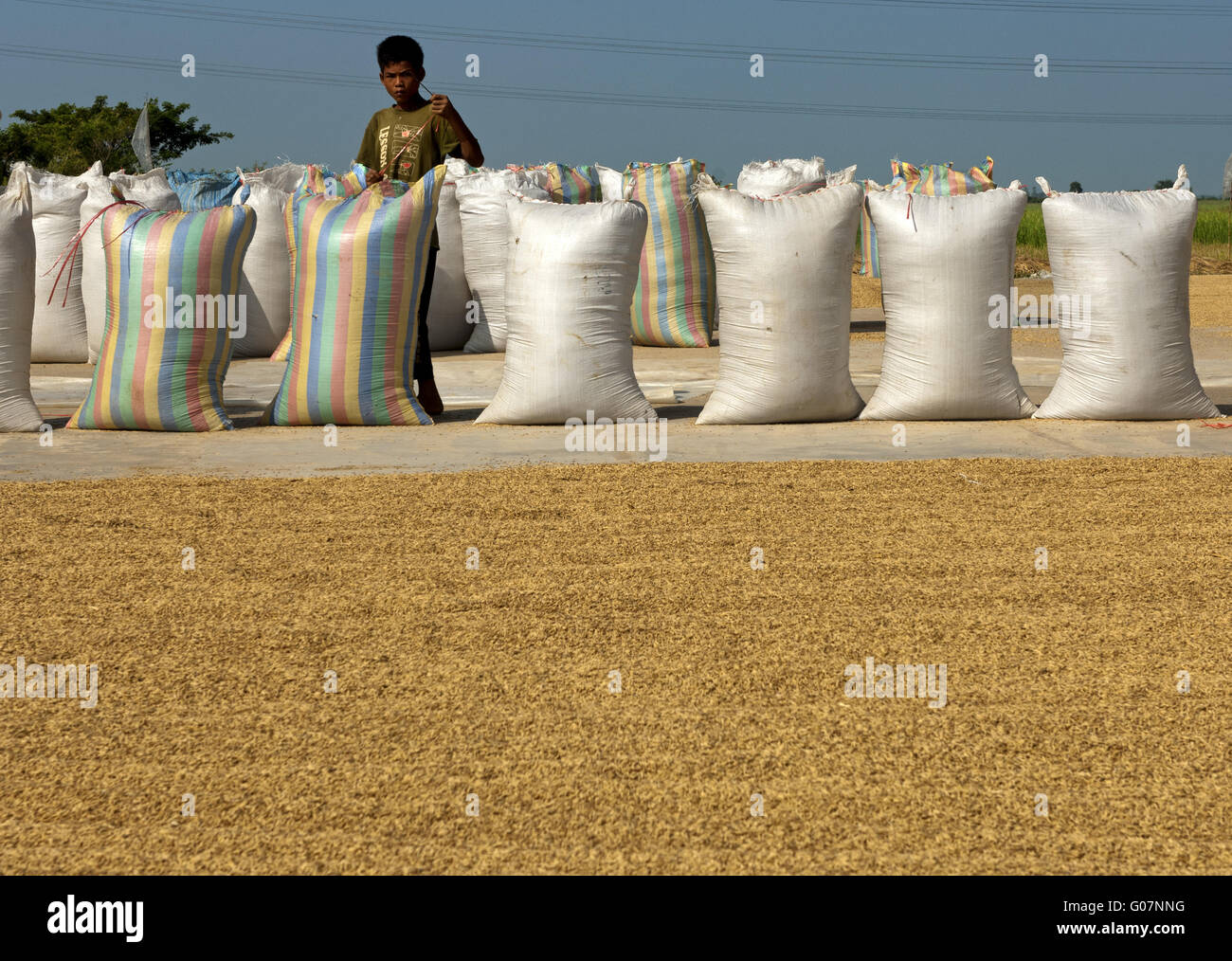 Rice on the ground hi-res stock photography and images - Alamy
