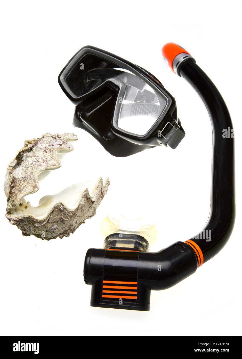 Tube for diving (snorkel), big sea shell and mask Stock Photo - Alamy