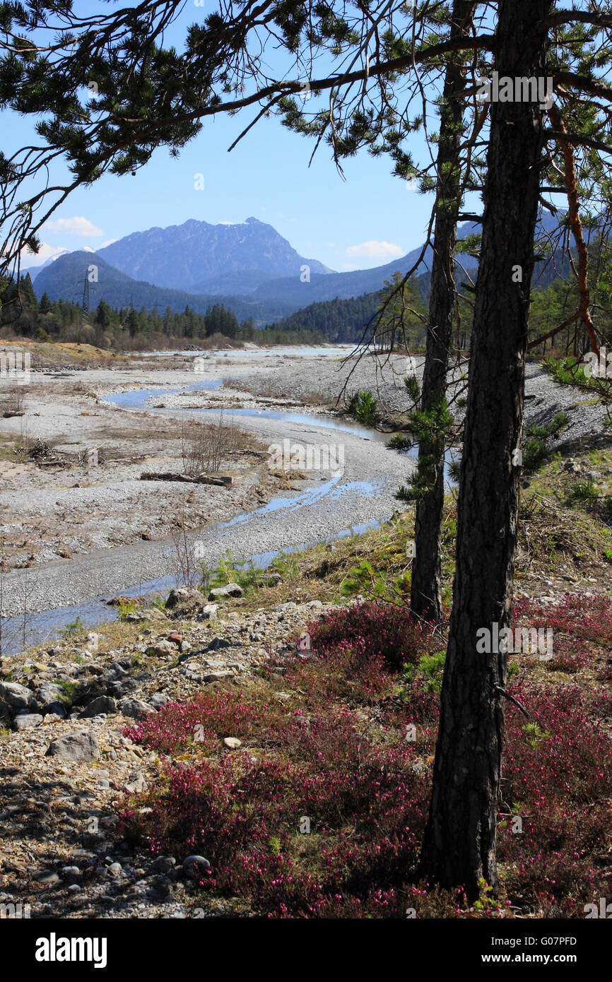 Wild river landscape of the Tyrolean Lech, Austria Stock Photo - Alamy