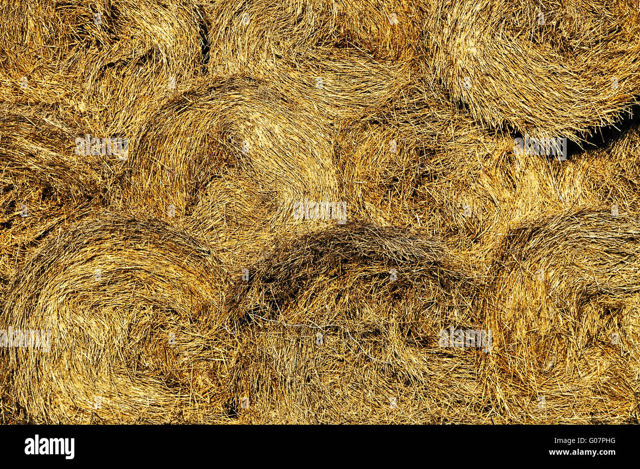 Rolling haystack hi-res stock photography and images - Alamy