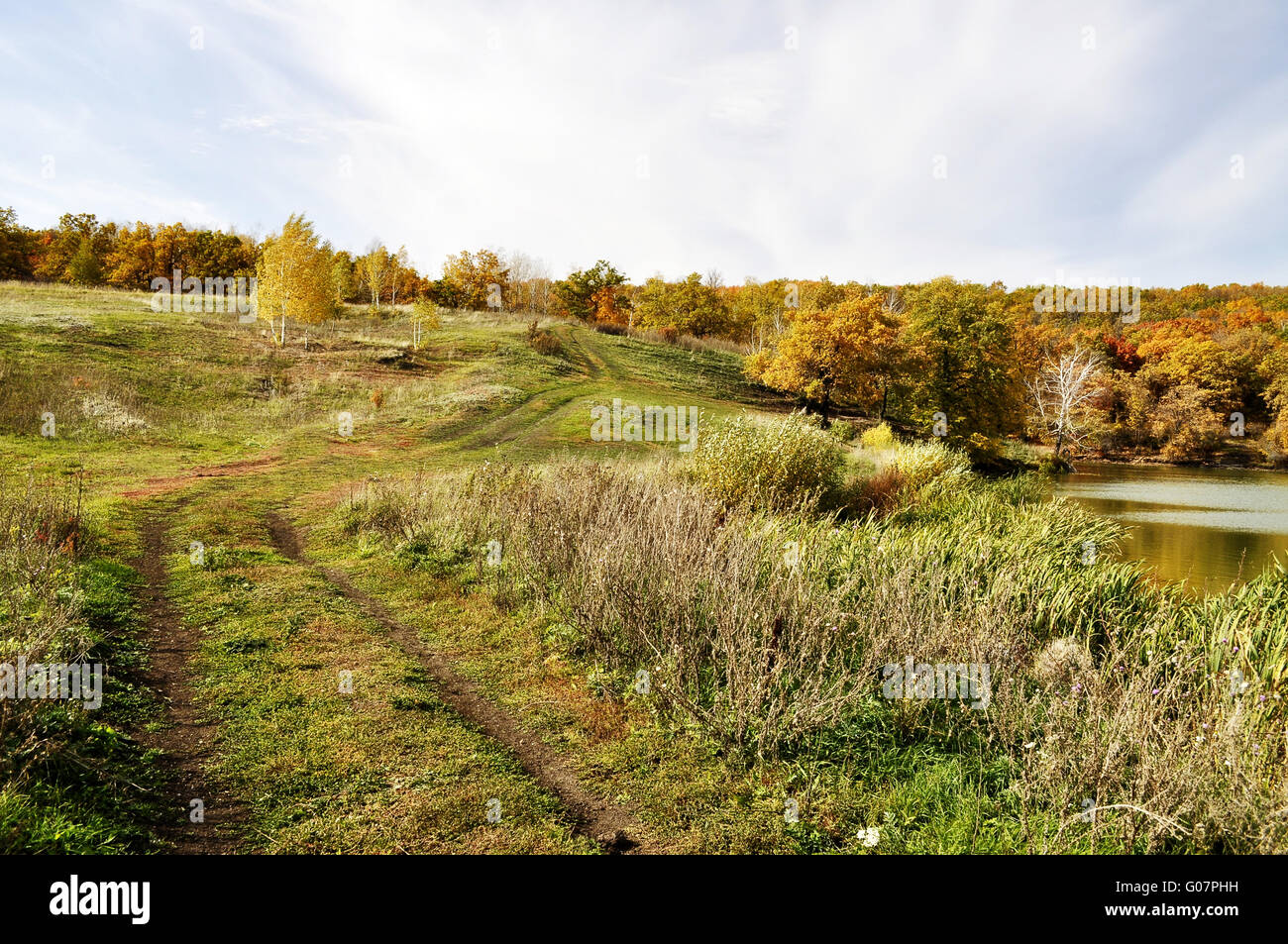 Late autumn nature Stock Photo - Alamy