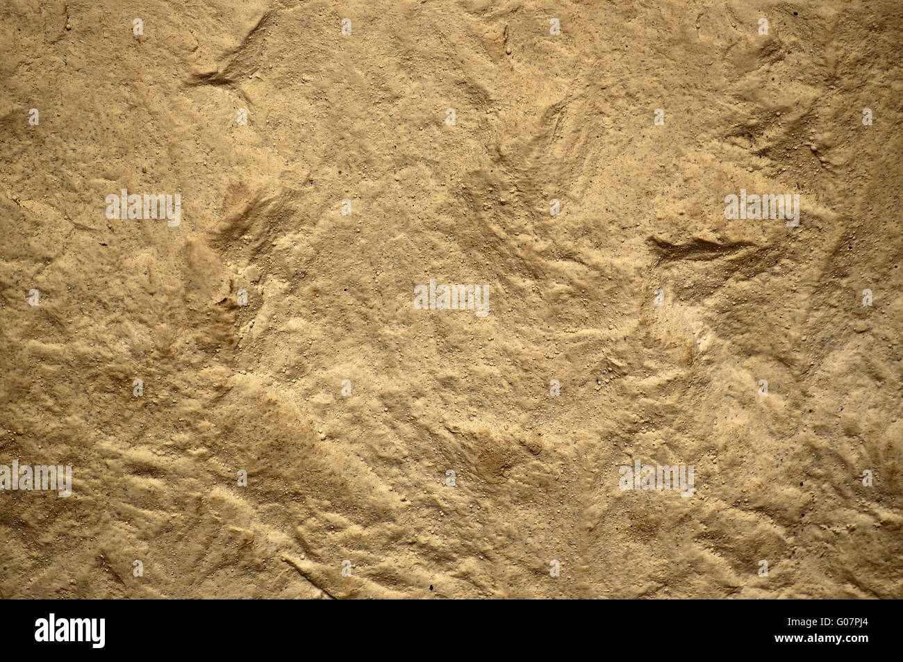 Stone slab texture hi-res stock photography and images - Alamy