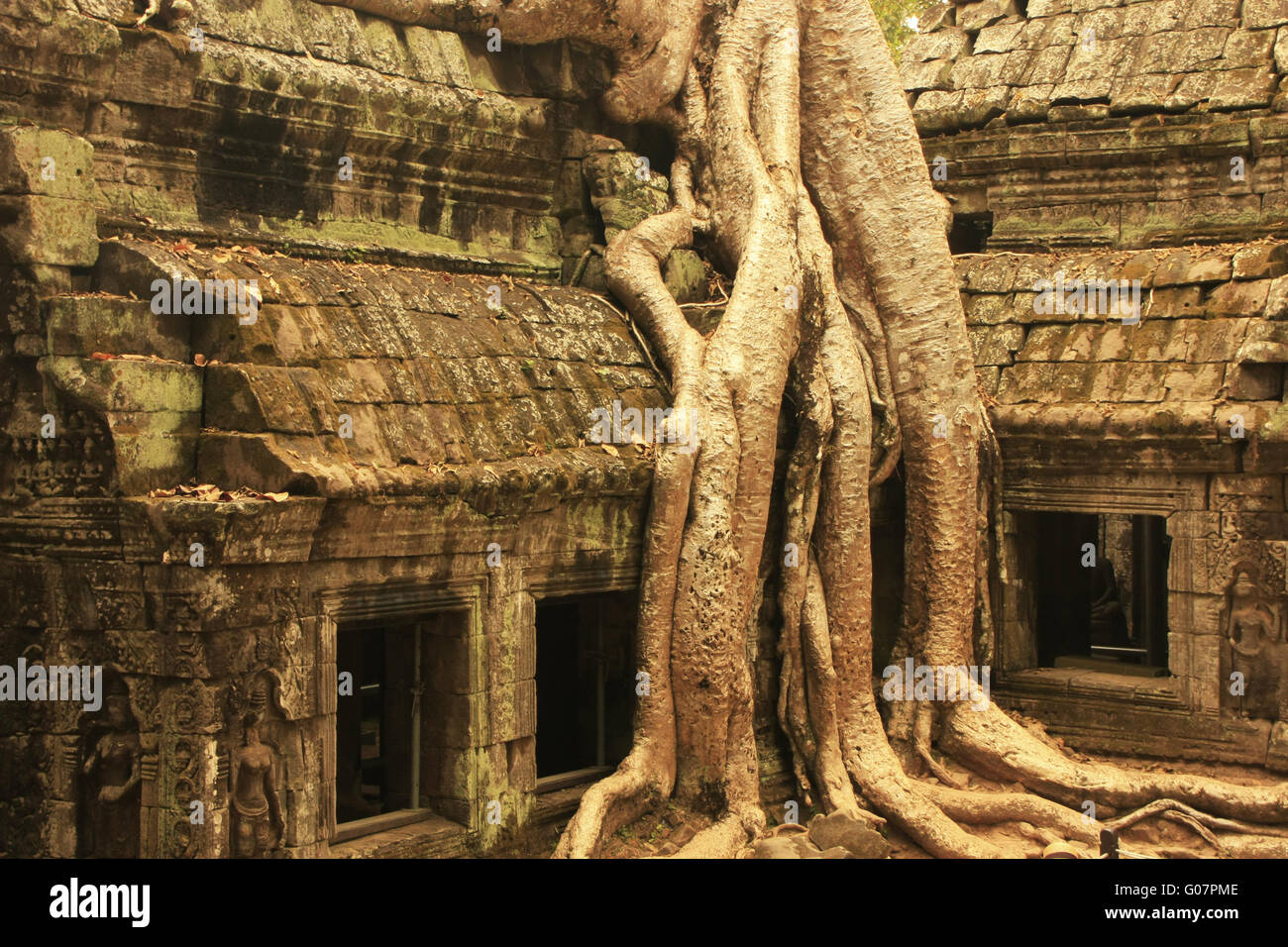 Ta Prohm temple Stock Photo - Alamy