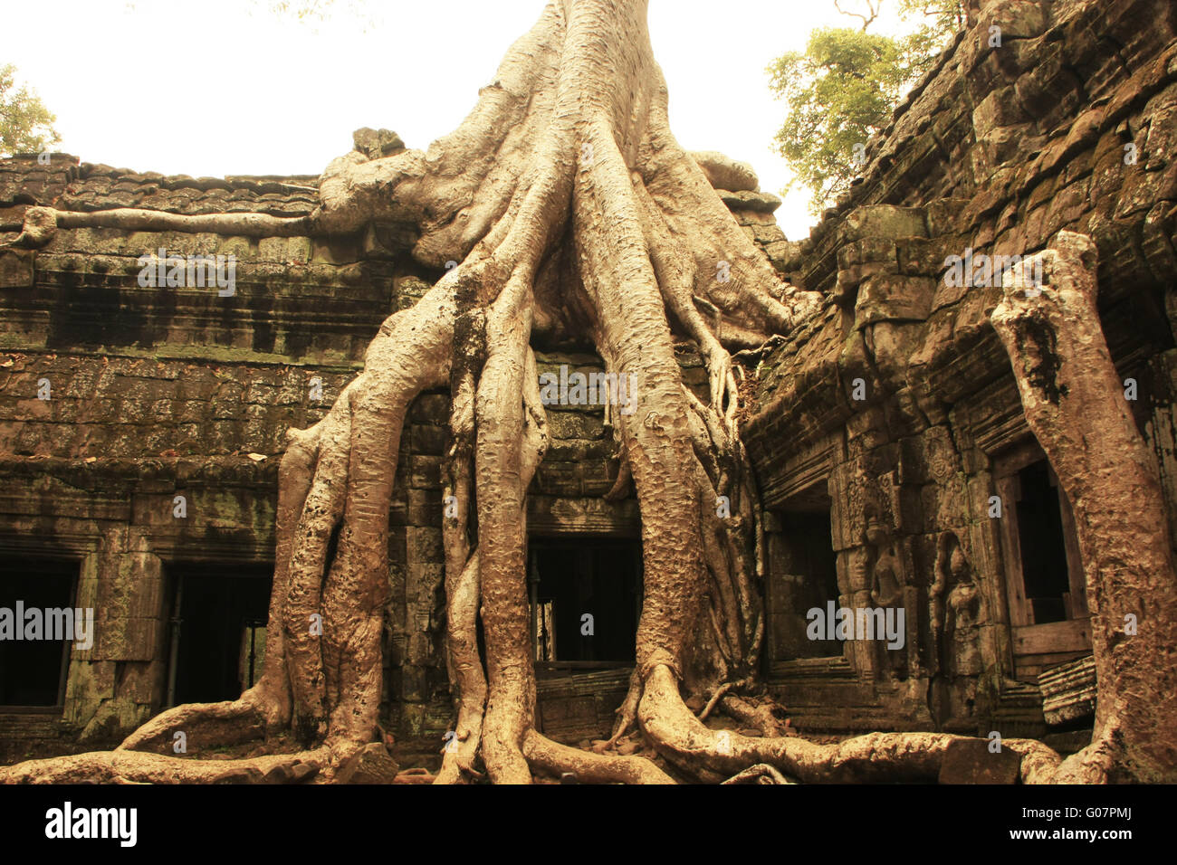 Ta Prohm temple Stock Photo - Alamy