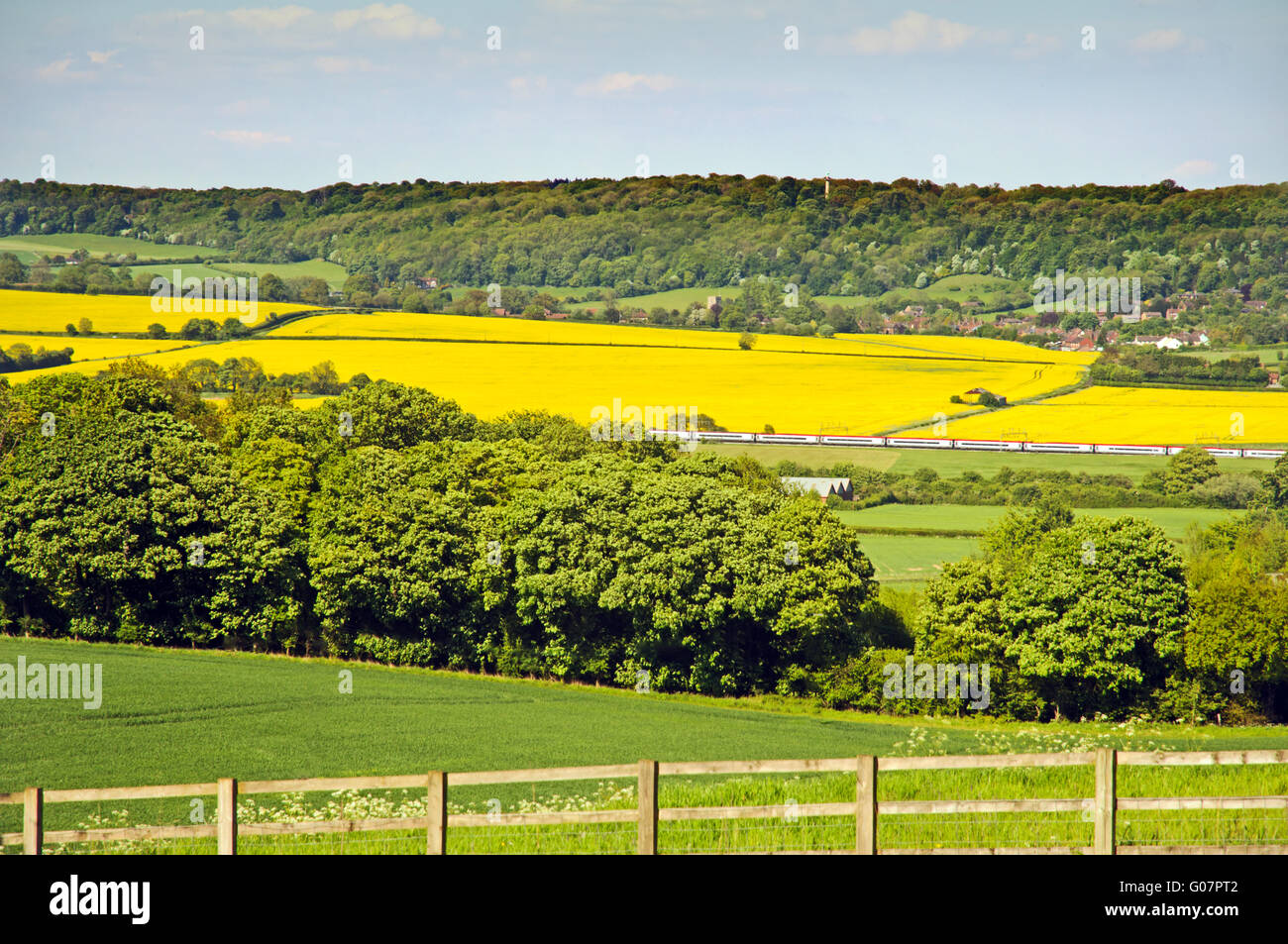 A train runs through Chiltern countryside in Sprin Stock Photo - Alamy