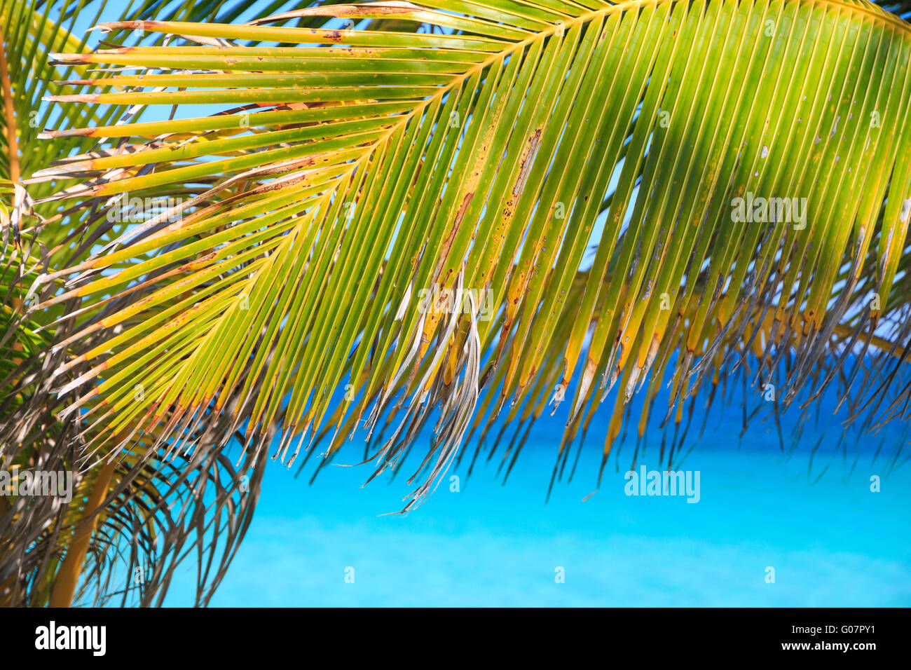 Blue lagoon beach resort hi-res stock photography and images - Alamy