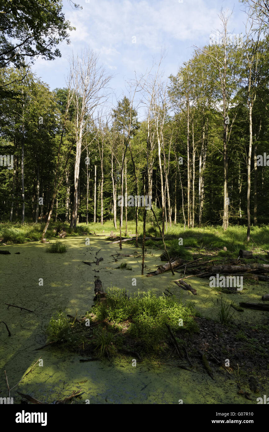 World nature hi-res stock photography and images - Alamy