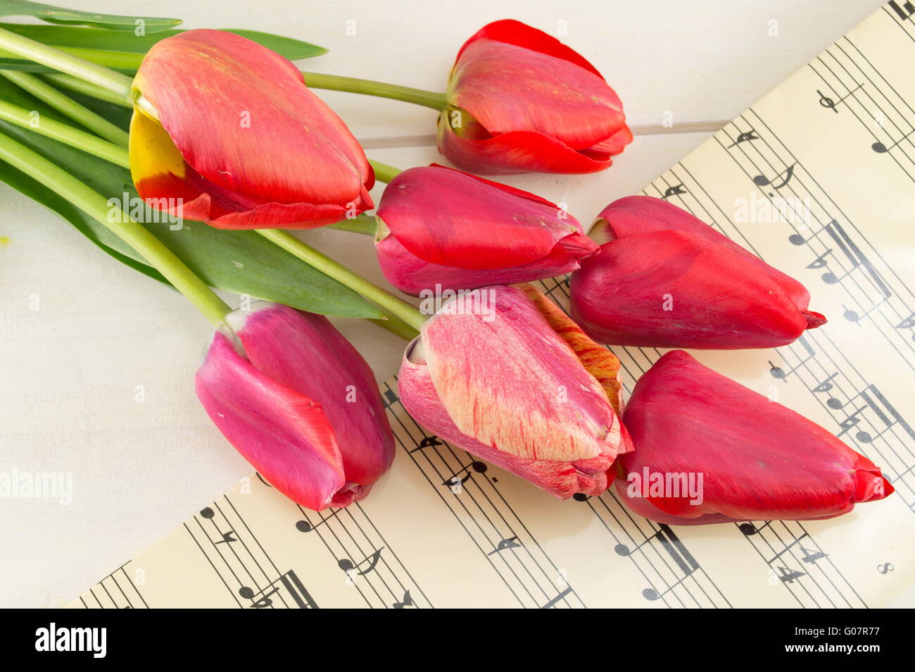 Note sheet hi-res stock photography and images - Alamy