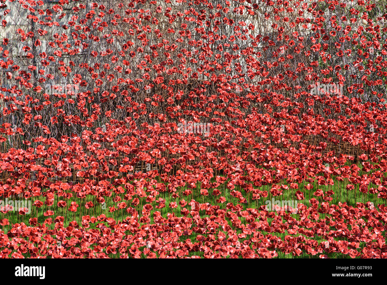 Cascade of ceramic poppies in the moat of the Tower of London ...