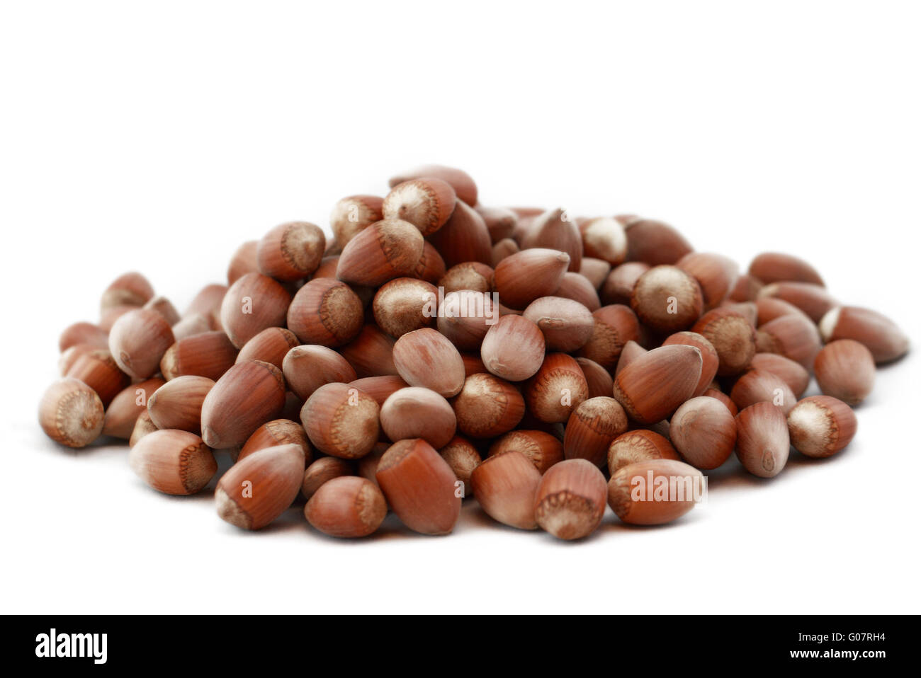 Hazelnut close up isolated on white background Stock Photo - Alamy