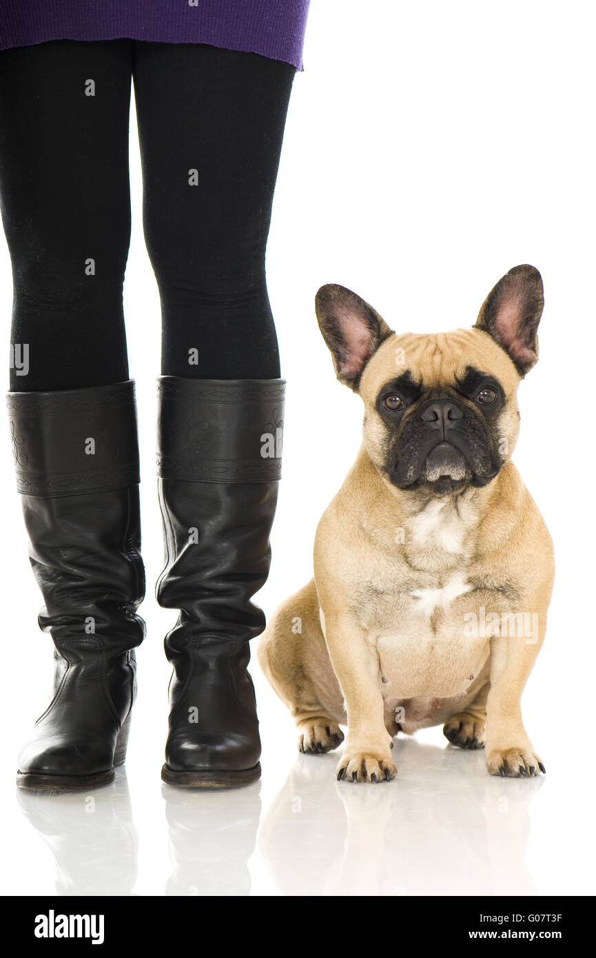 Hund beine hi-res stock photography and images - Alamy