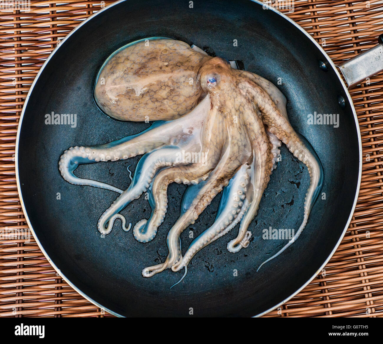 Small octopus on the pan Stock Photo - Alamy