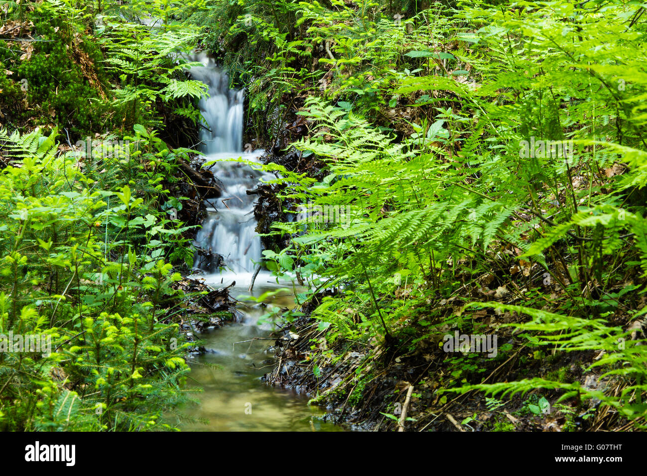 Trickling brook hi-res stock photography and images - Alamy