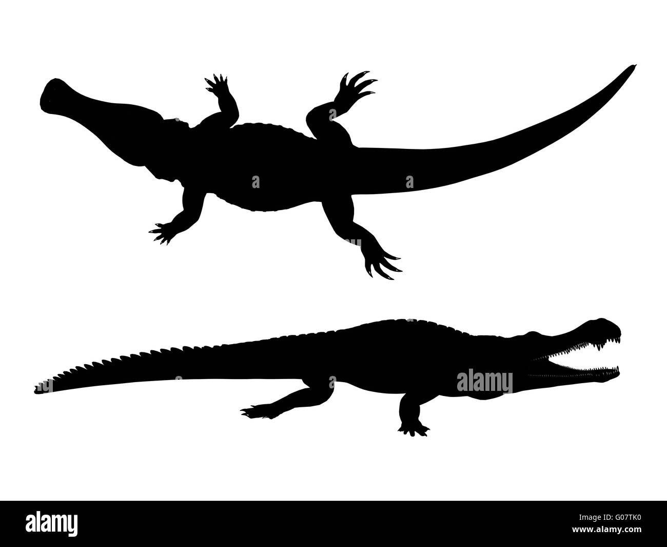 Alligator Silhouette Clip Art