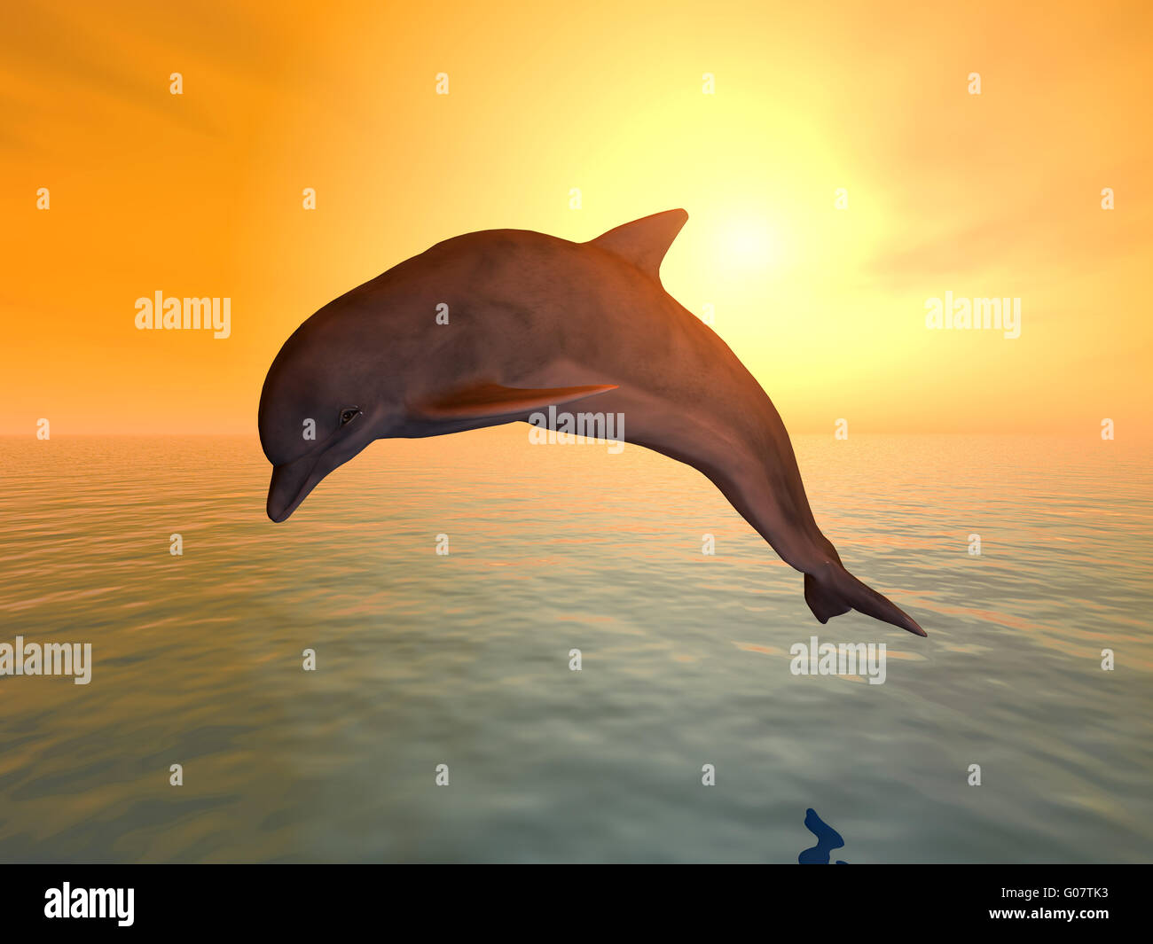 Jumping dolphin hi-res stock photography and images - Alamy