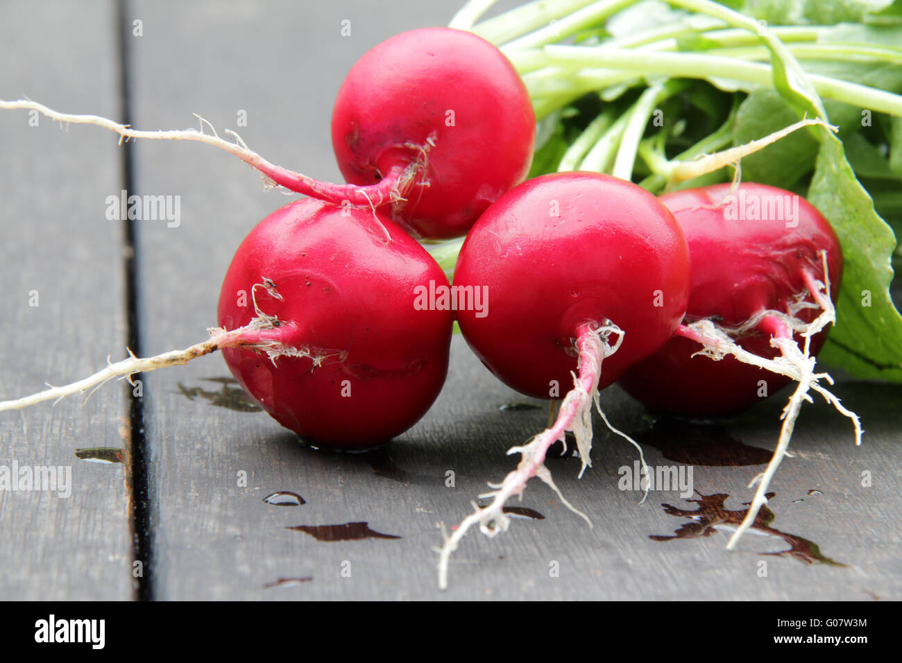 Giant radish hi-res stock photography and images - Alamy