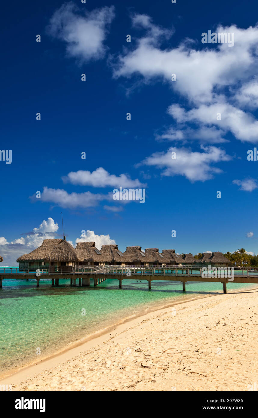 seacoast with palm trees and small houses on water Stock Photo - Alamy