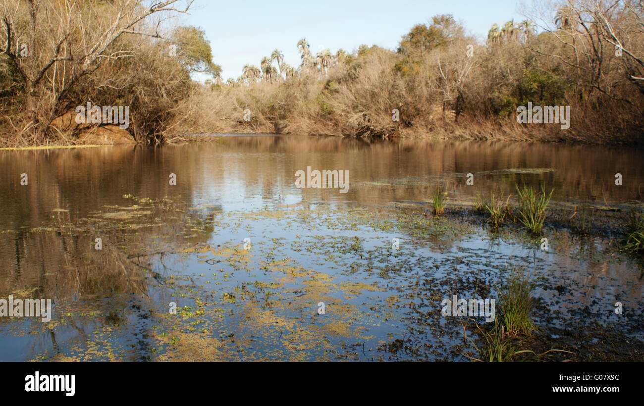 Living the Water Stock Photo - Alamy