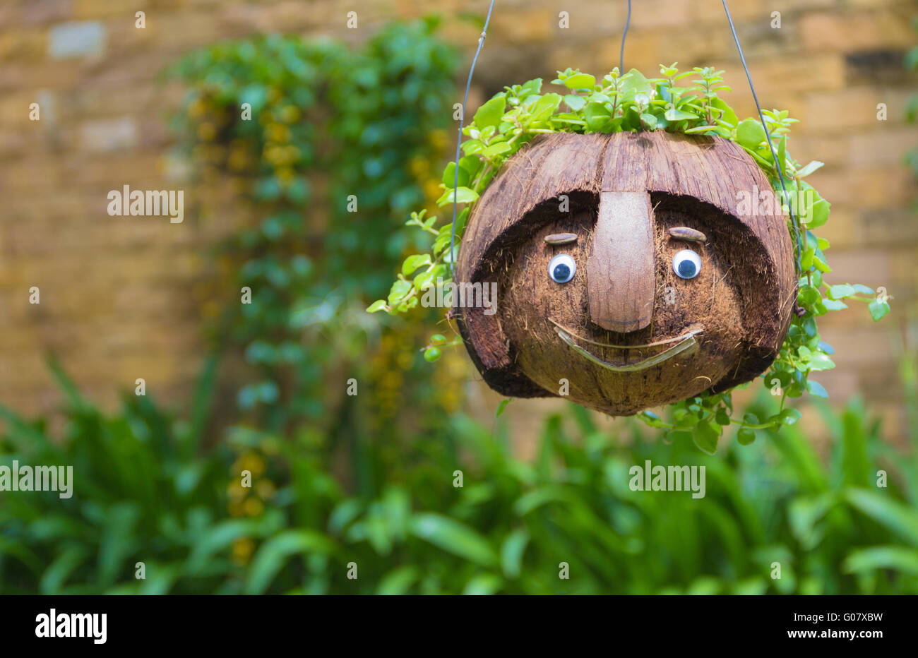 Coconut face hi-res stock photography and images - Alamy