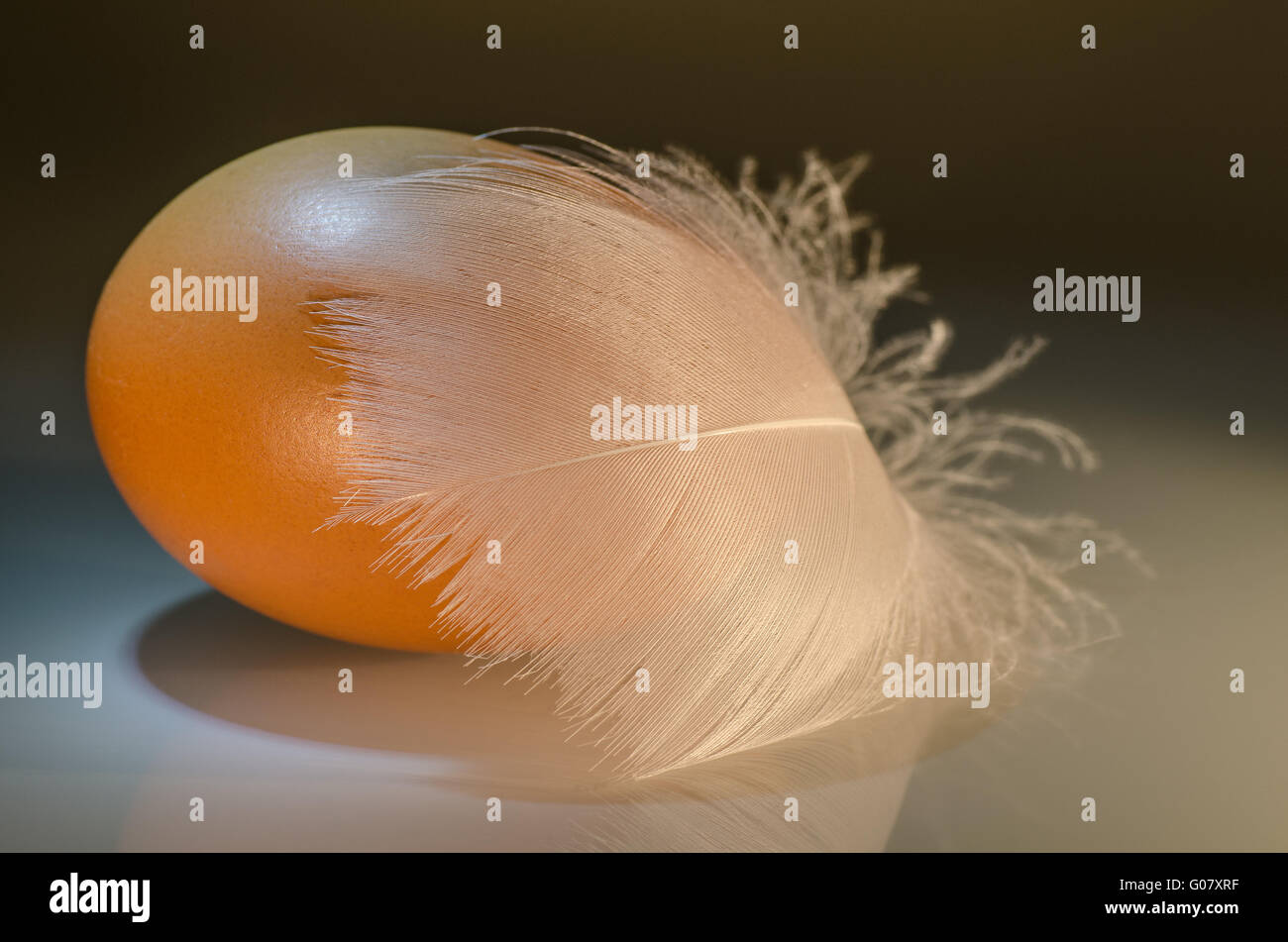 Egg with feather 3 Stock Photo - Alamy