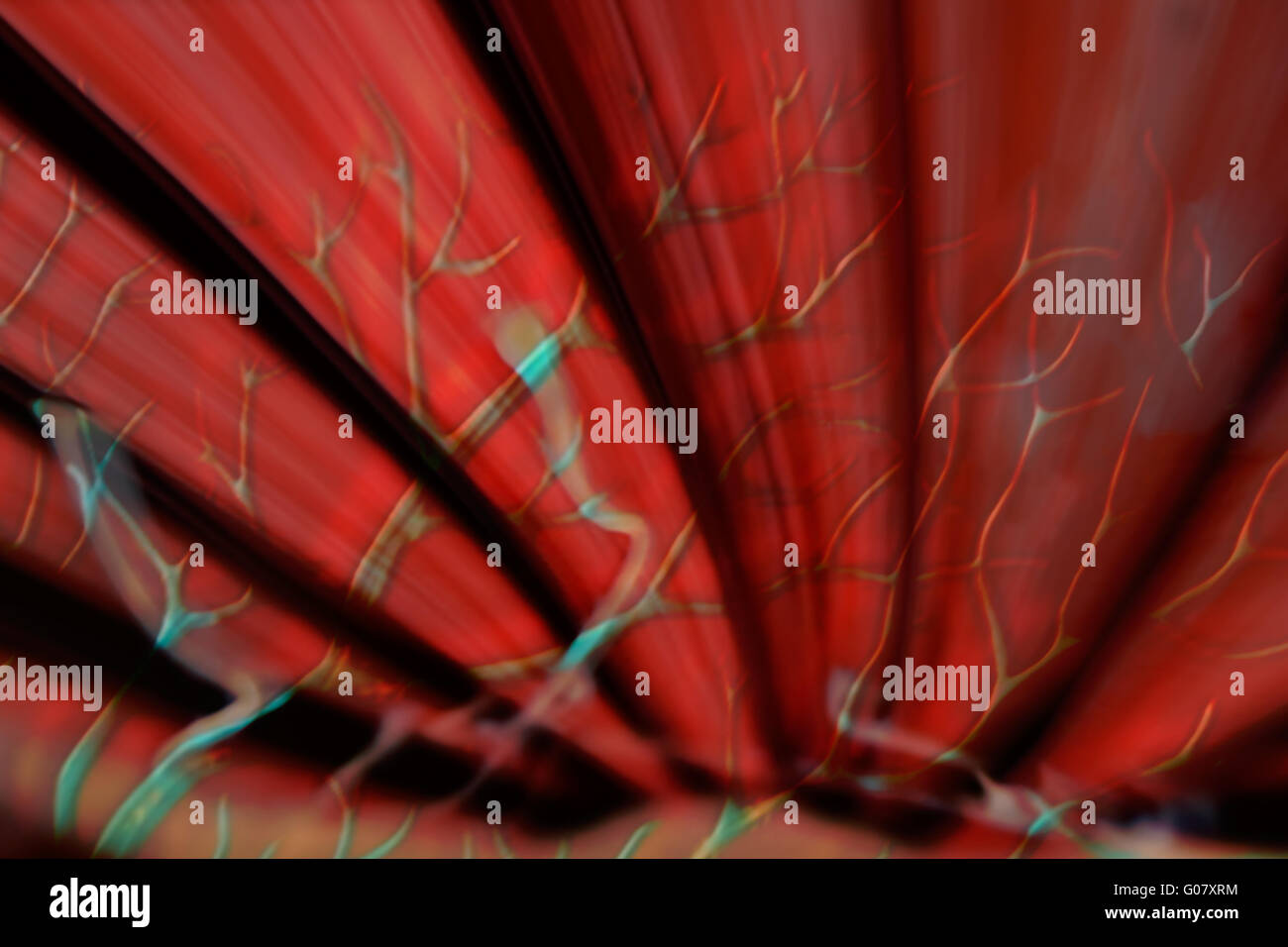 muscle with vein Stock Photo - Alamy
