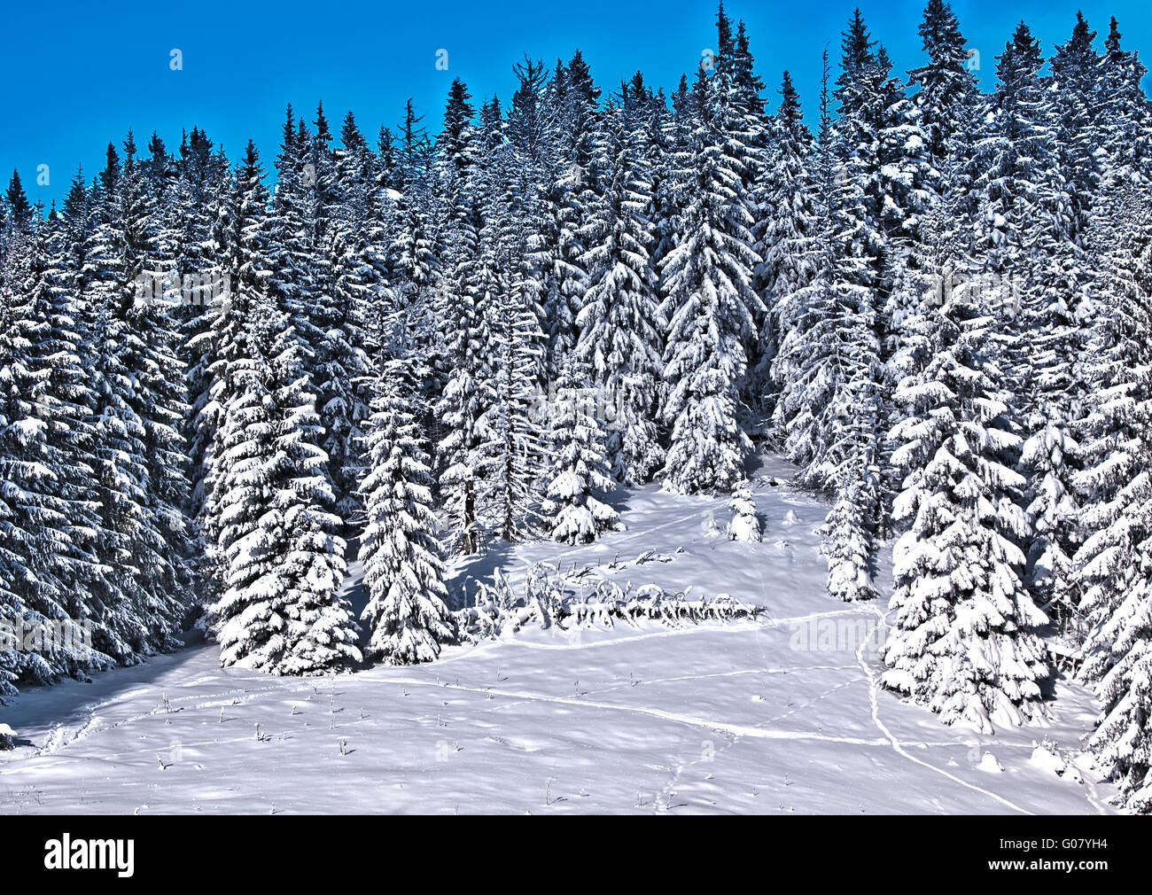 Hdr winter scene hi-res stock photography and images - Alamy