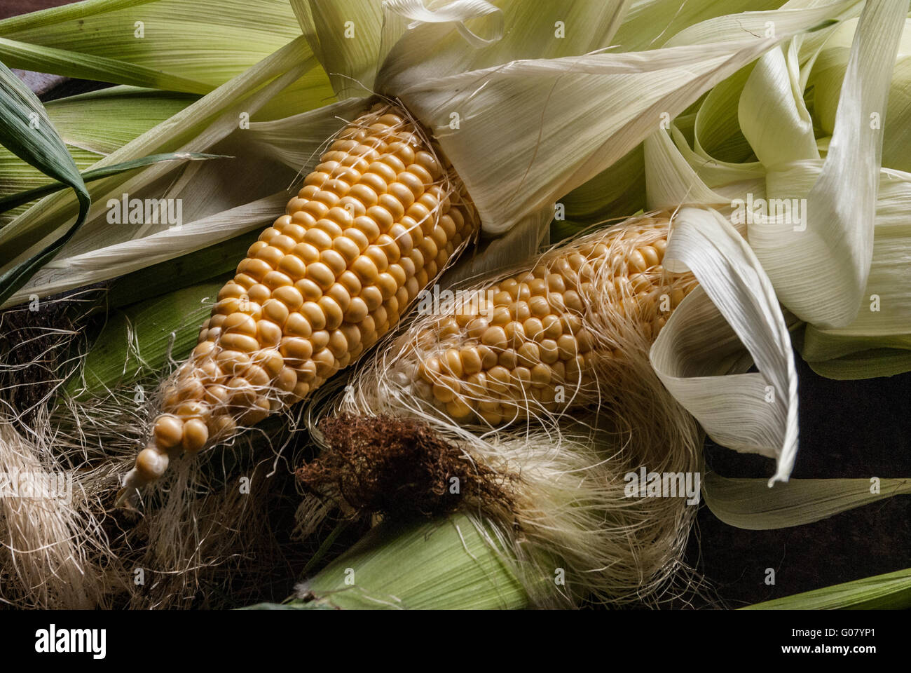 Corn cab with leaves Stock Photo - Alamy