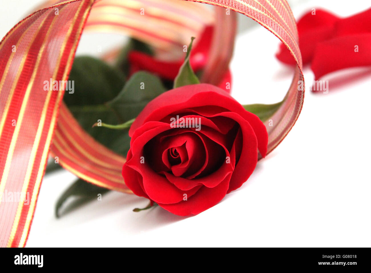 Red rose and ribbon on white Stock Photo - Alamy
