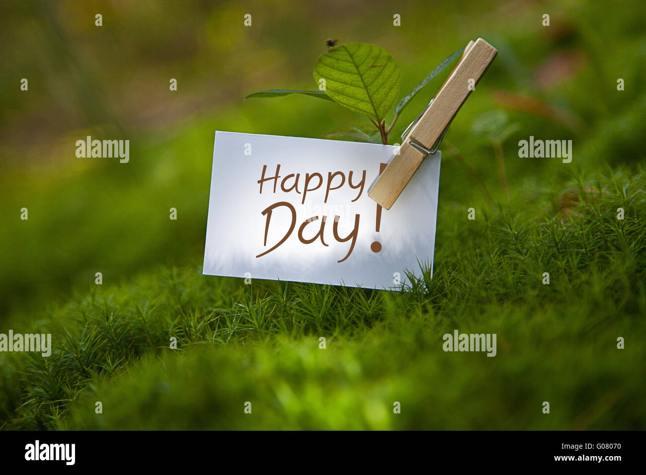 The words Happy Day! on paper with a seedling Stock Photo - Alamy