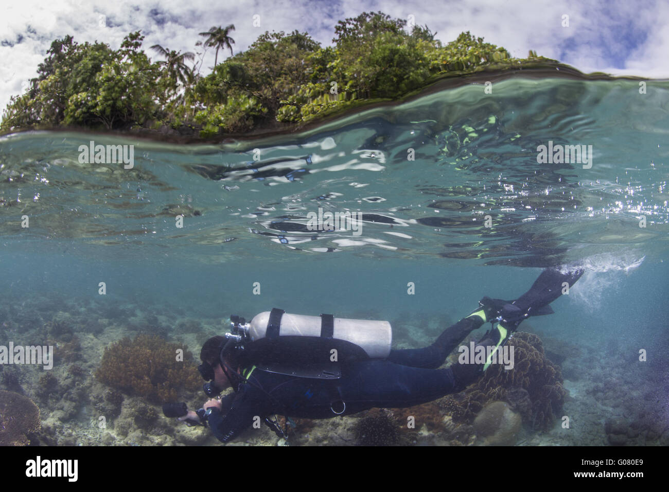 diver assessing a coral reef Stock Photo - Alamy