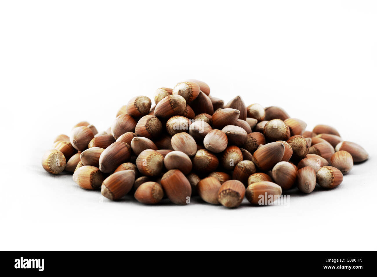 Hazelnut close up isolated on white background Stock Photo - Alamy