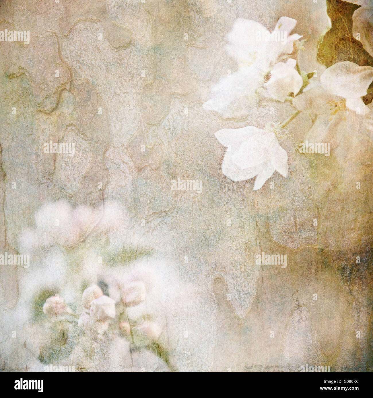 decorative vintage paper Stock Photo - Alamy