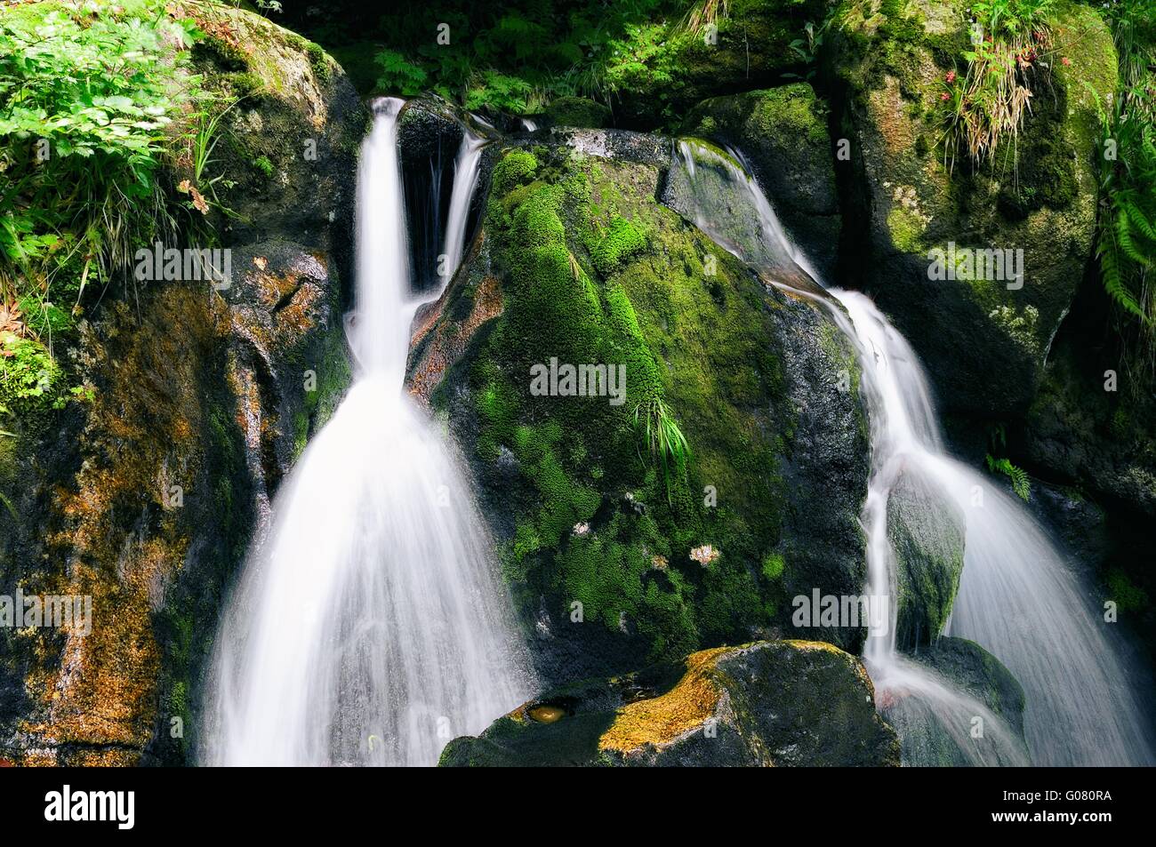 small waterfall in the rocks and moss soft blue Stock Photo - Alamy