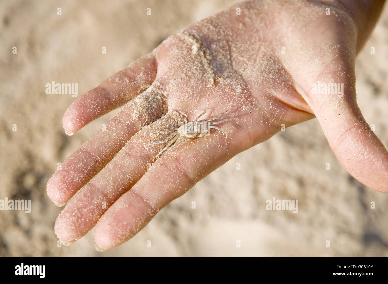 Hand algen hi-res stock photography and images - Alamy