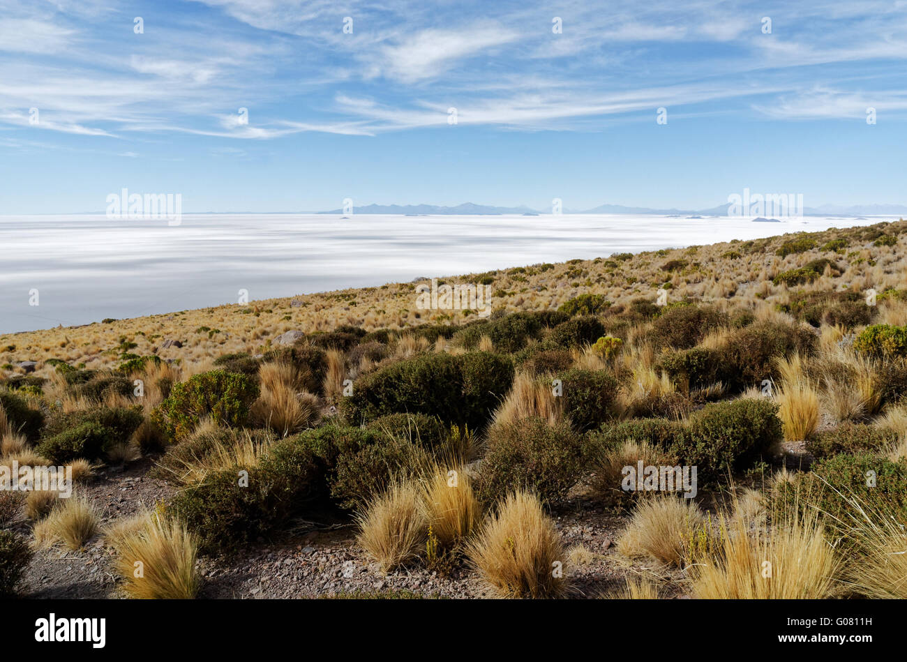 The Salar de Uyuni from high on Tunupa volcano, Bolivia Stock Photo - Alamy