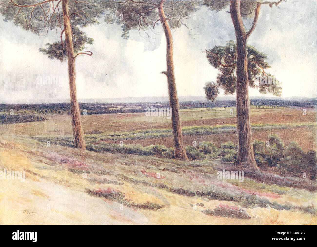 CHOBHAM COMMON: View from Staple Hill. Surrey, antique print 1914 Stock ...