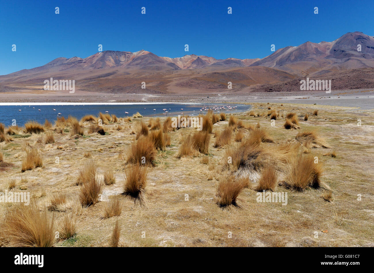 Desert south west bolivia hi-res stock photography and images - Alamy