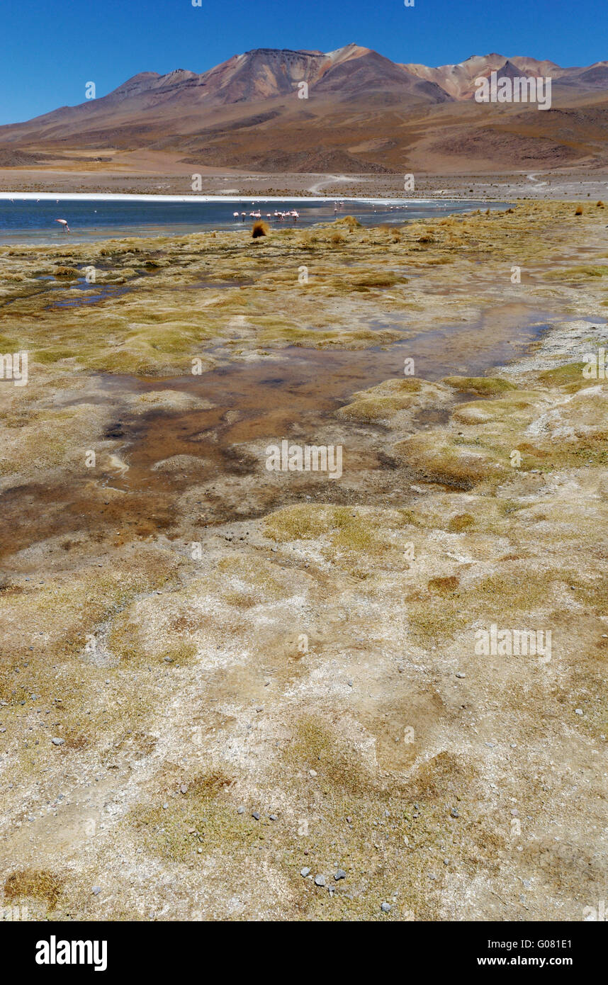Landscape from the Atacama desert in Bolivia Stock Photo - Alamy