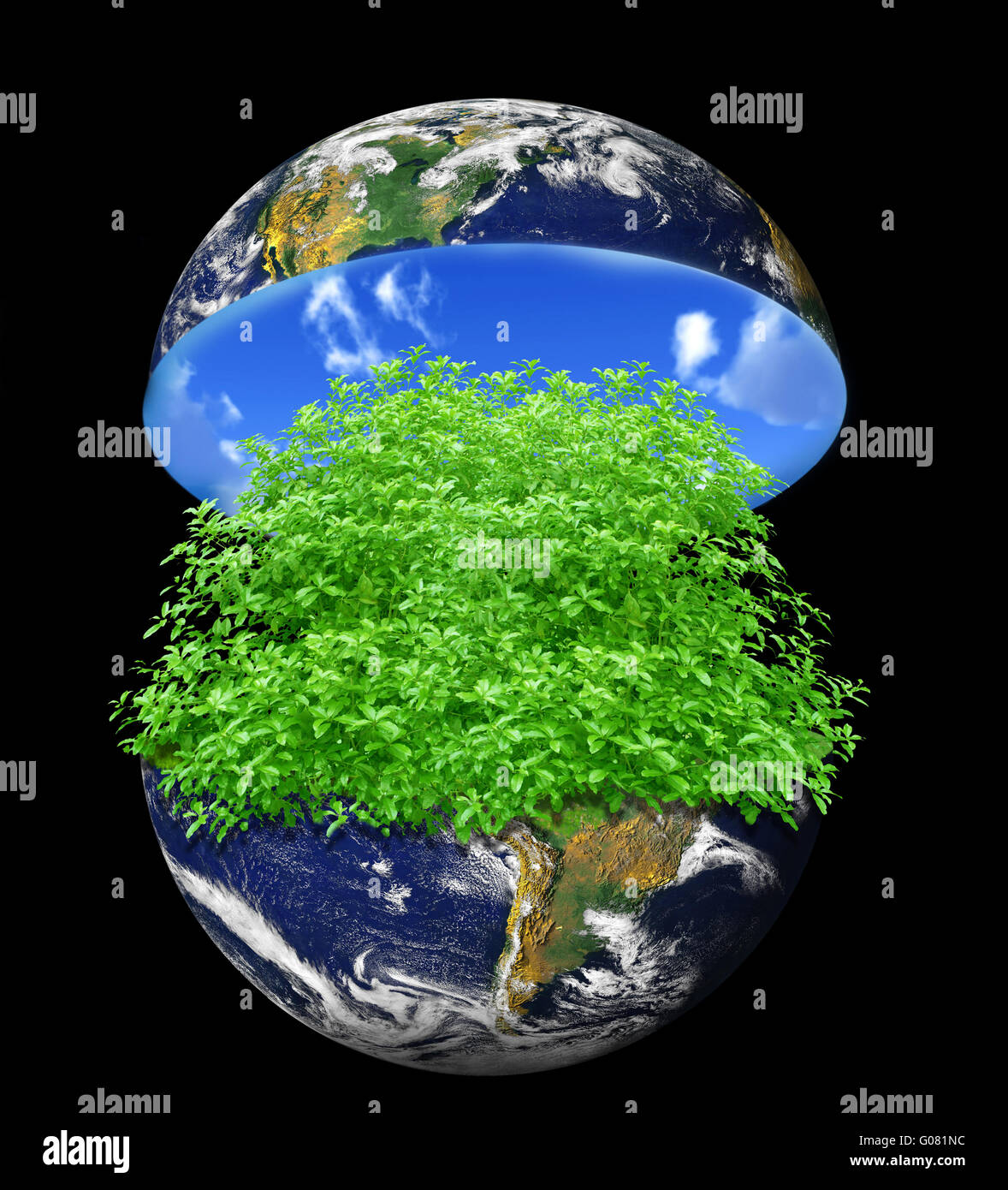 tree inside the earth isolated on a black backgrou Stock Photo - Alamy