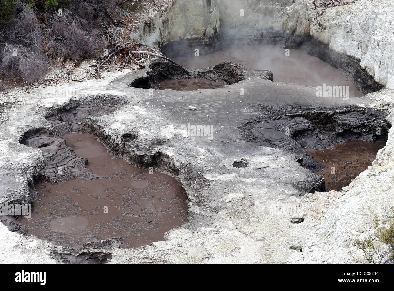 Boiling mud in Wai-o-Tapu geothermal park near Taupo, New Zealand Stock ...