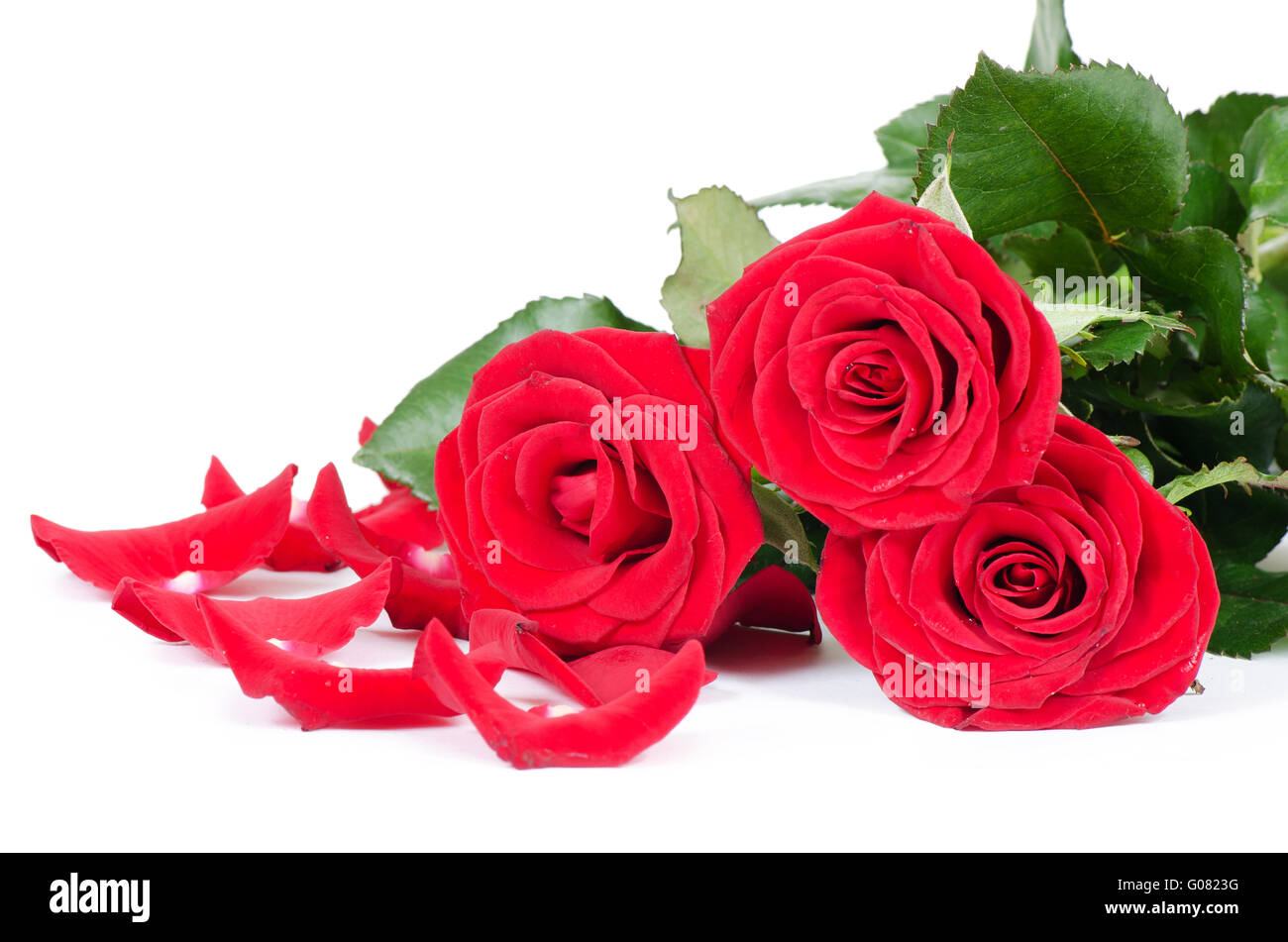 Bouquet of red roses isolated on white background Stock Photo - Alamy