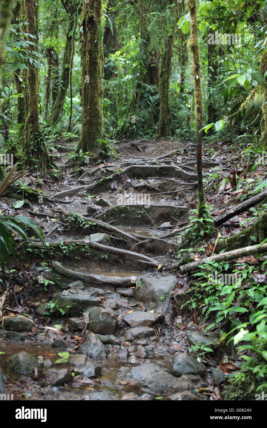 Beautiful hiking trek through hi-res stock photography and images - Alamy