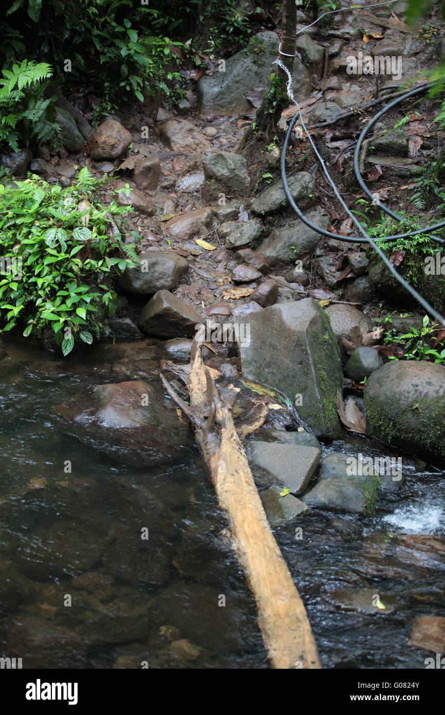 Obstacles in nature hi-res stock photography and images - Alamy