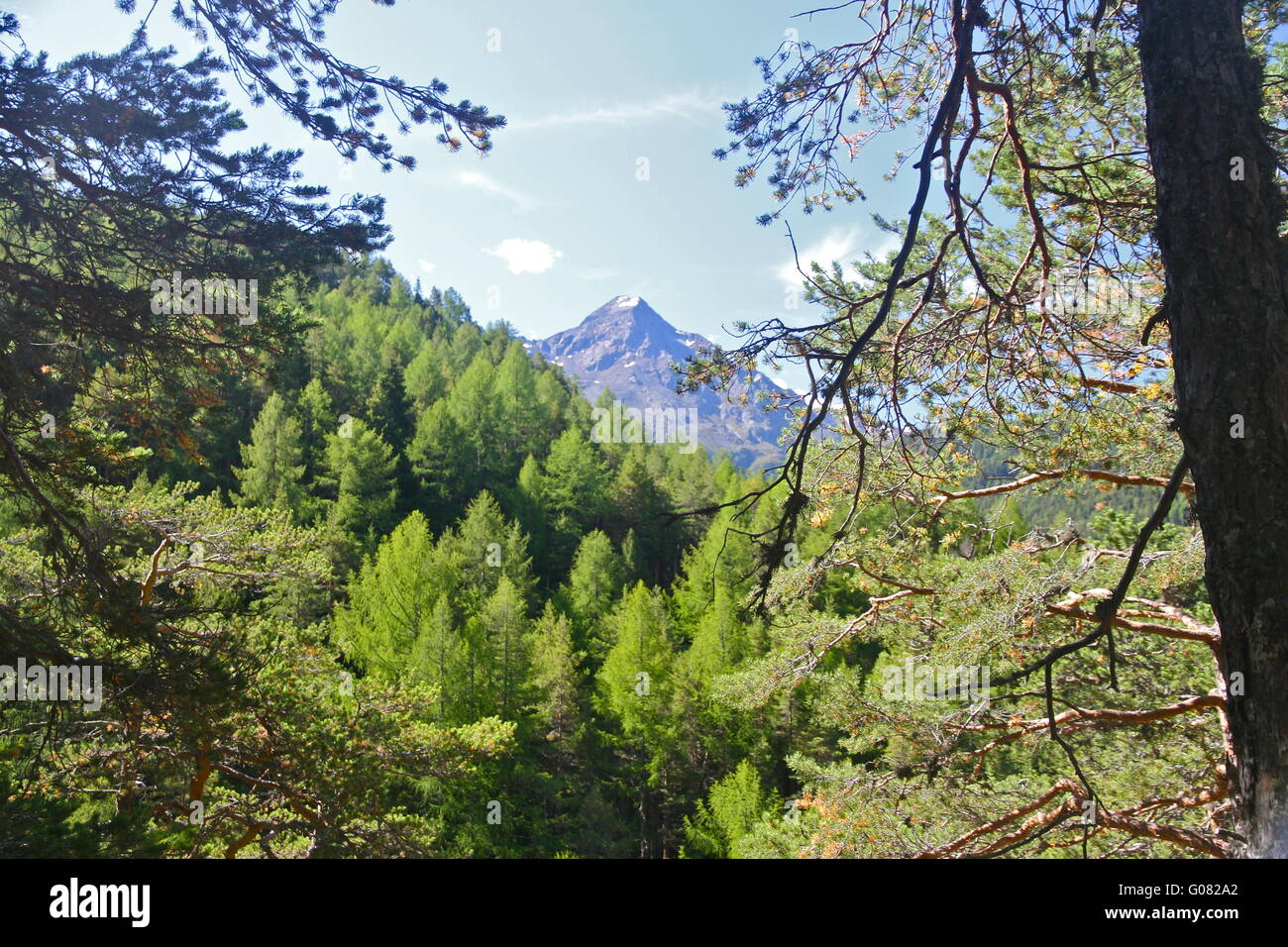 Oetztal alps hi-res stock photography and images - Alamy