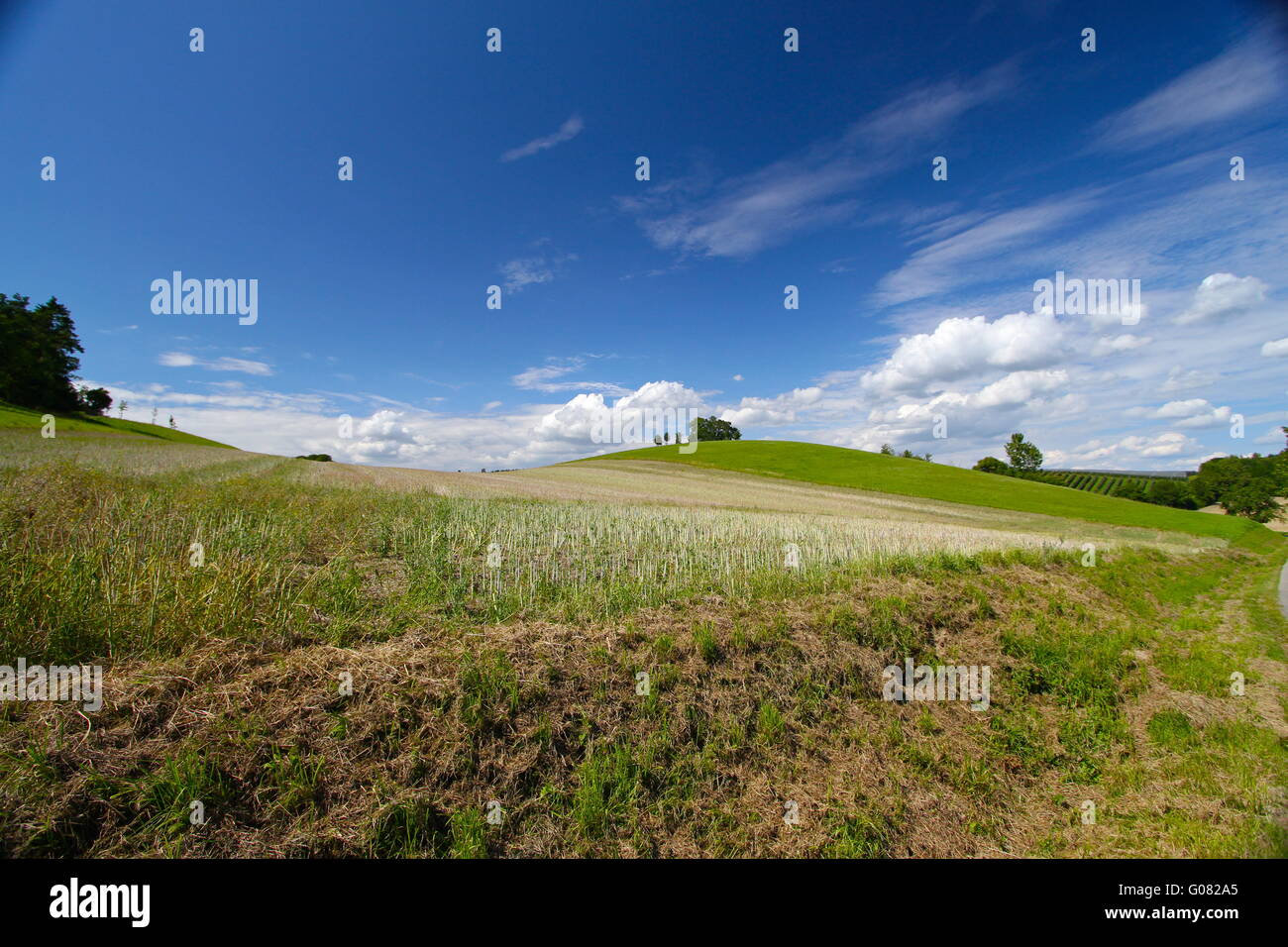 Harvesting july hi-res stock photography and images - Alamy