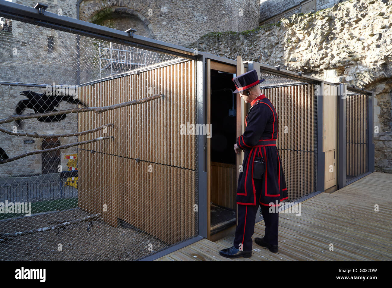 Tower of london beefeater raven hi-res stock photography and images - Alamy