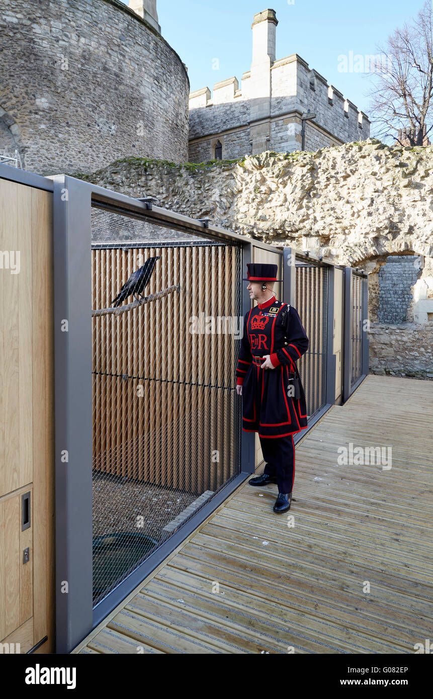 Tower Of London Beefeater Raven High Resolution Stock Photography and ...